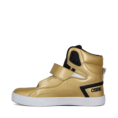 Osiris Skate Shoes | Journeys